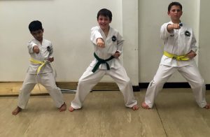 taekwondo sitting stance 5 | South West Martial Arts